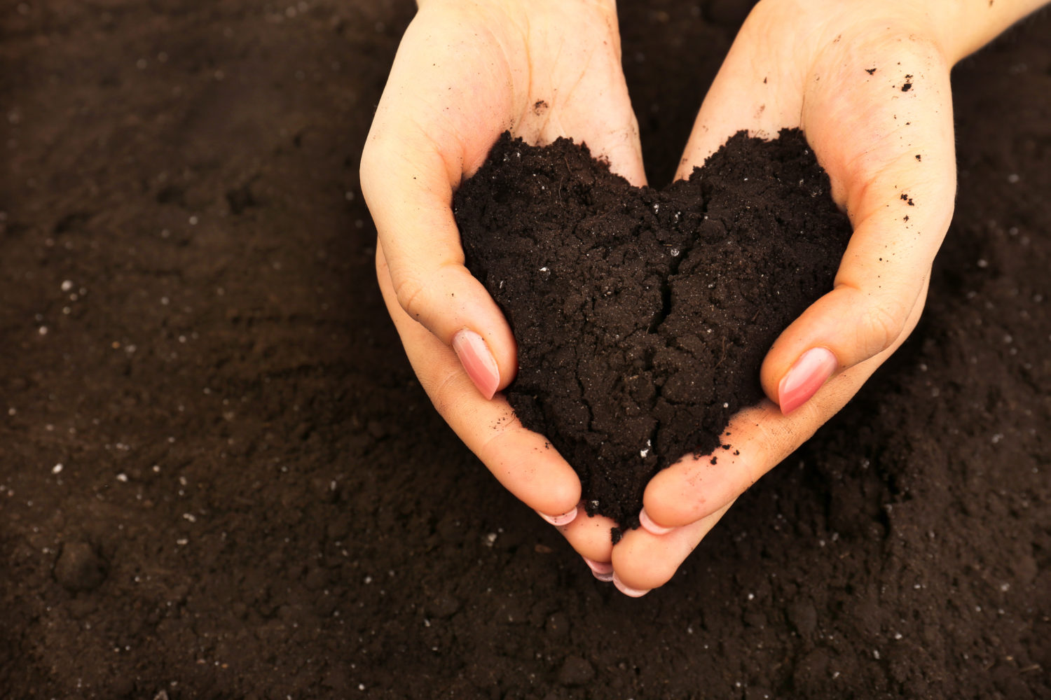 Becoming Earth: How Does Human Composting Work? - LA Weekly