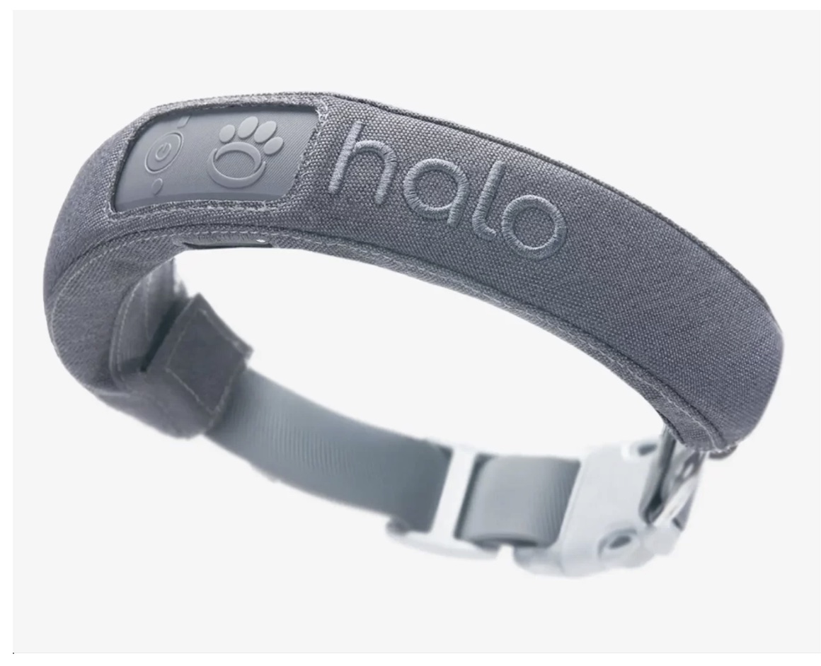 Halo Dog Collar Review: Is it Really Worth the Price? (2023 Upd.) - LA ...