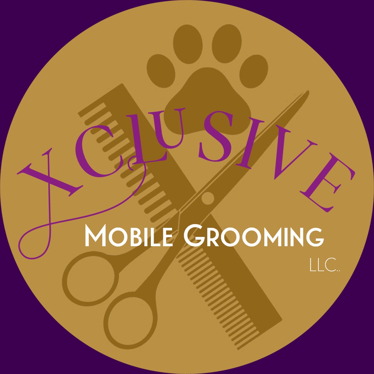 Behind the Curtains at Xclusive Pet Services: Where Education ...